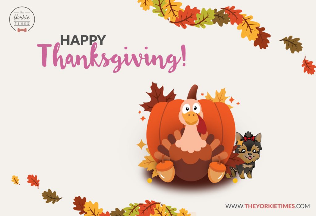 Happy Yorkie Holiday Food Tips - Yorkies & Cross-Breeds
